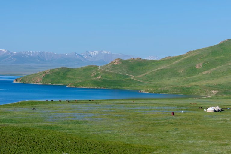 Basho Valley | The Most Beautiful Valley In Skardu Pakistan