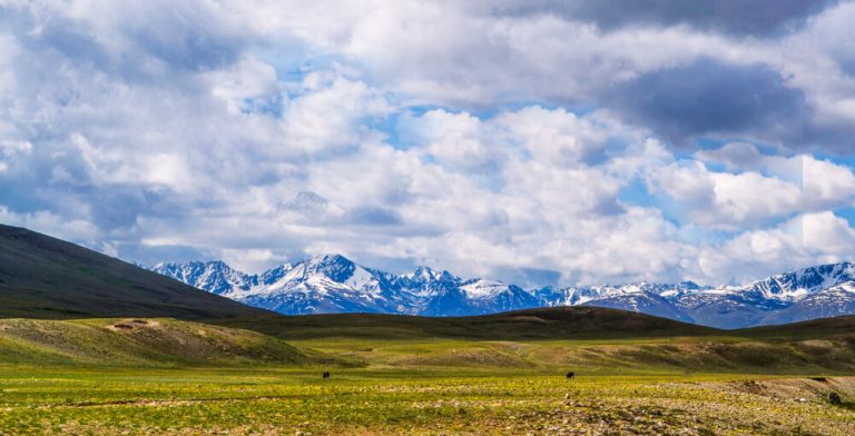Deosai National Park – A Complete Guide To Visit | Traveler Trails