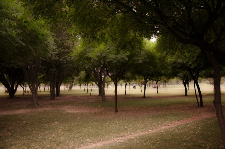 Model Town Park Lahore | Traveler Trails