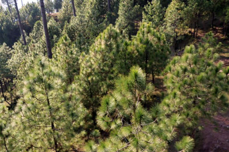 Patriata | Chair Lift in Patriata New Murree Hills