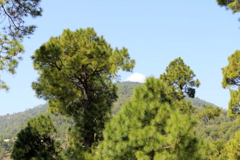 Patriata | Chair Lift in Patriata New Murree Hills