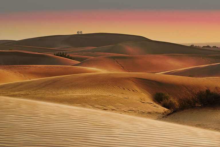 Thar Desert I Tharparkar Desert Sindh, Pakistan