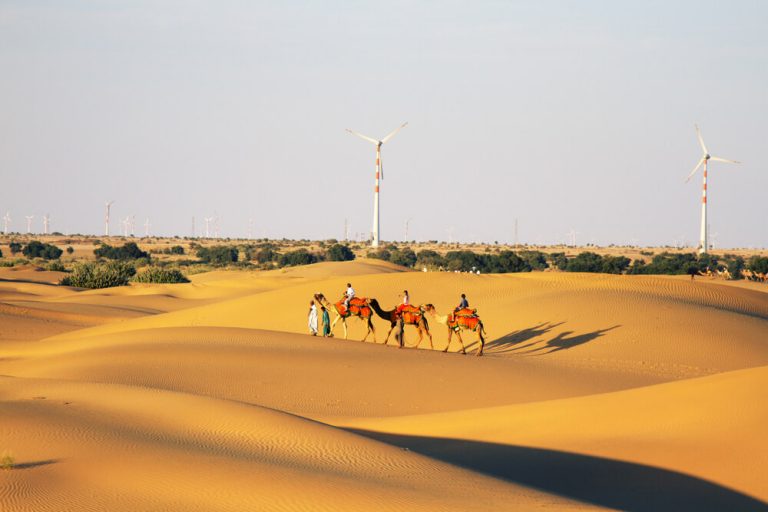 Thar Desert I Tharparkar Desert Sindh, Pakistan