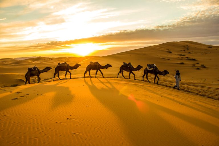 Thar Desert I Tharparkar Desert Sindh, Pakistan