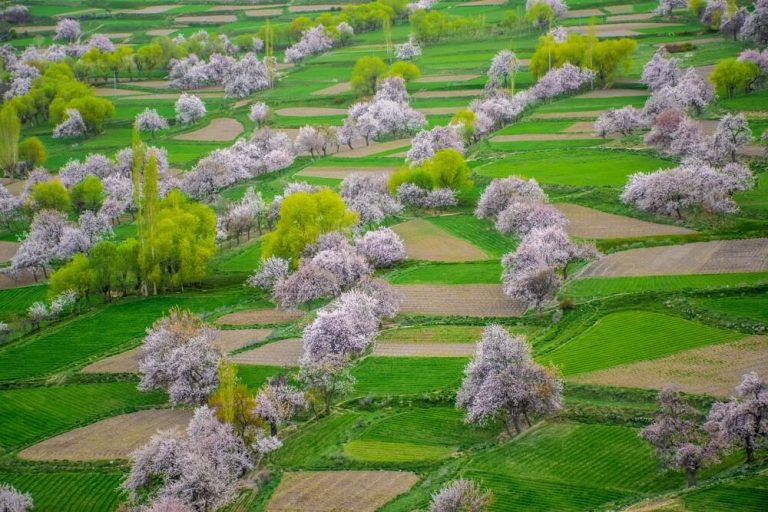 Chunda Valley | A Complete Guide to Visit Chunda Skardu