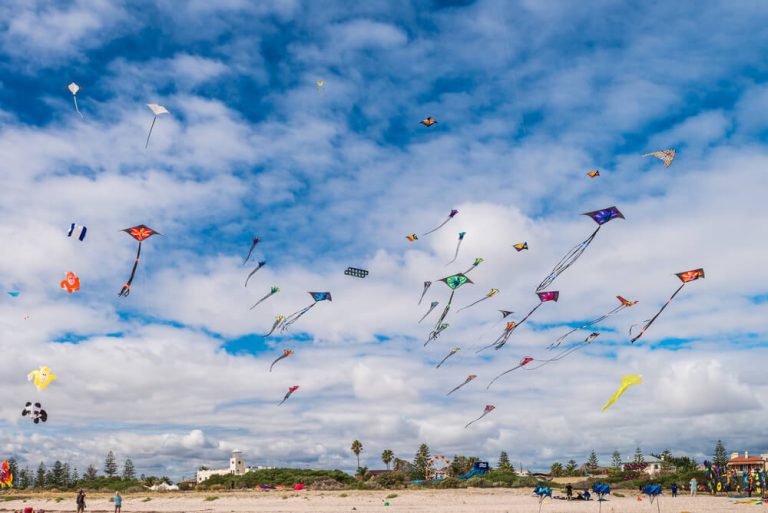 Basant Festival | Pakistan’s Most Popular Spring Festival