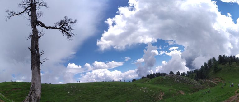 Mushkpuri Top | The Highest Point of Nathia Gali