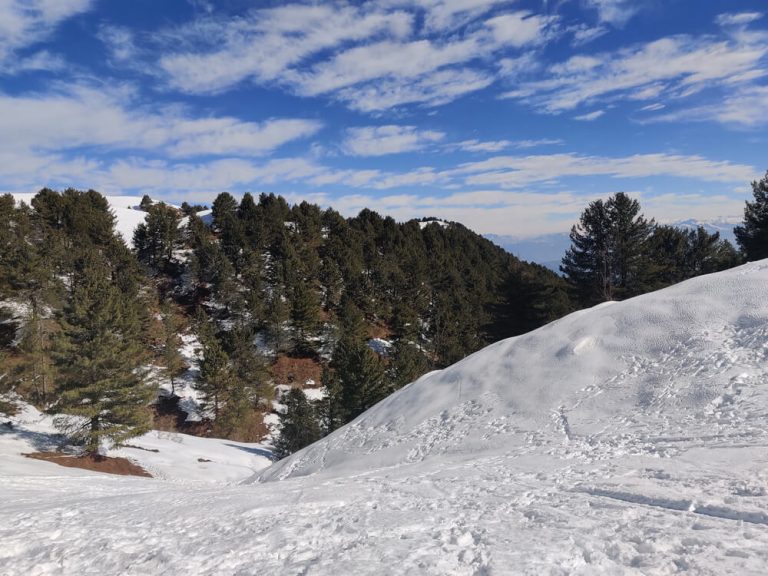 Mushkpuri Top | The Highest Point of Nathia Gali