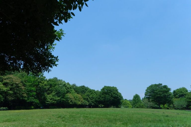 Parks in Rawalpindi | Amusement Water Parks of Rawalpindi