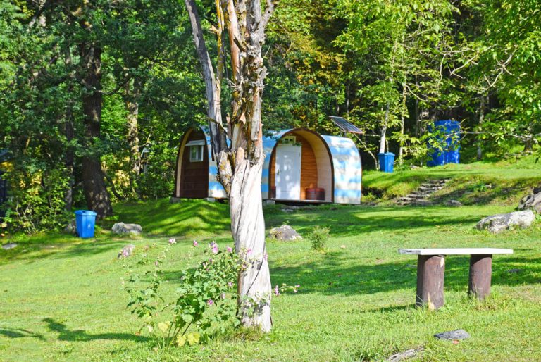 Sharan Forest | Traveler Trails