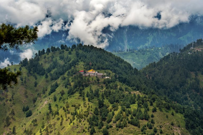 Sharan Forest | Traveler Trails