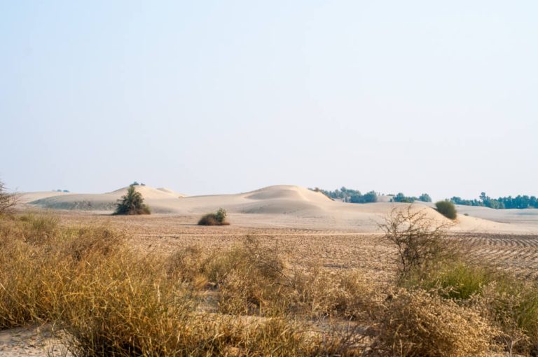 Deserts of Pakistan I Thar, Thal and Cholistan Main Deserts