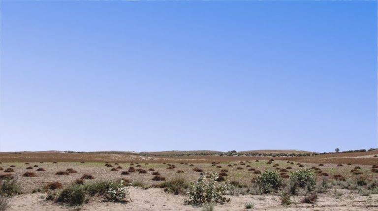 Thal Desert I The Third Largest Desert in Pakistan