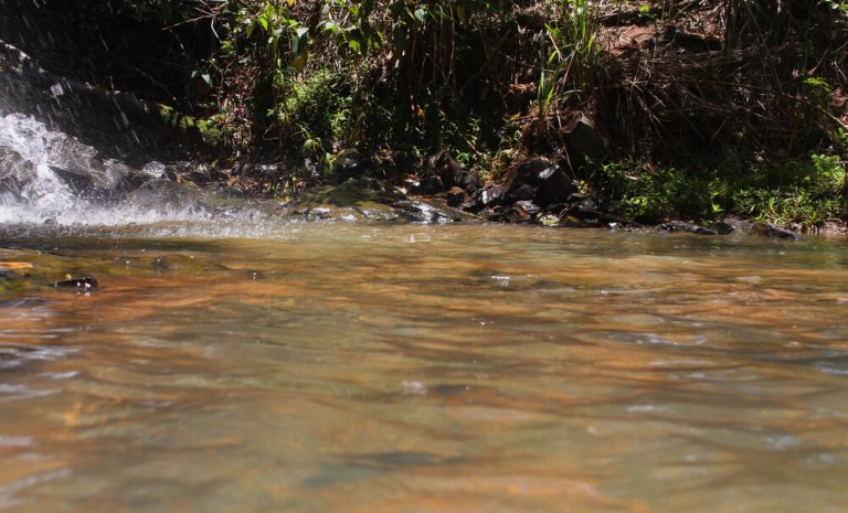 Rivers of Pakistan | List of Biggest Rivers in Pakistan