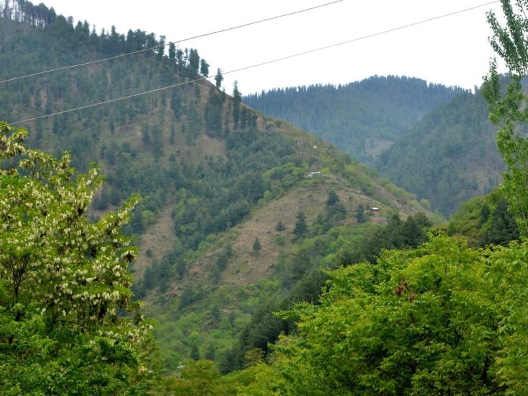 Kiwai | Base camp of Sharan Forest | Kawai Naran Pakistan
