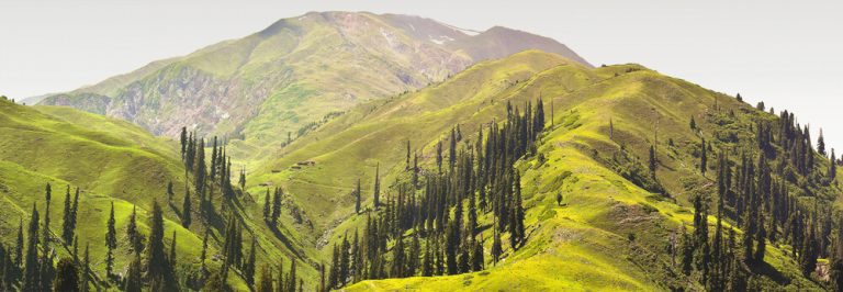 Places to Visit In Mansehra | Best Adventurous Things to do