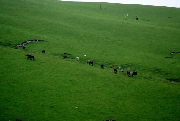 Toli Peer | Beautiful Place in Rawalakot Azad Kashmir