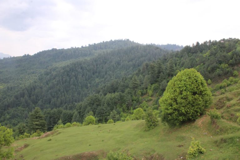 Toli Peer | Beautiful Place in Rawalakot Azad Kashmir