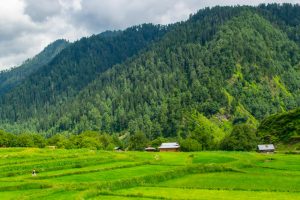 Leepa Valley | Most Beautiful Valley in Azad Kashmir